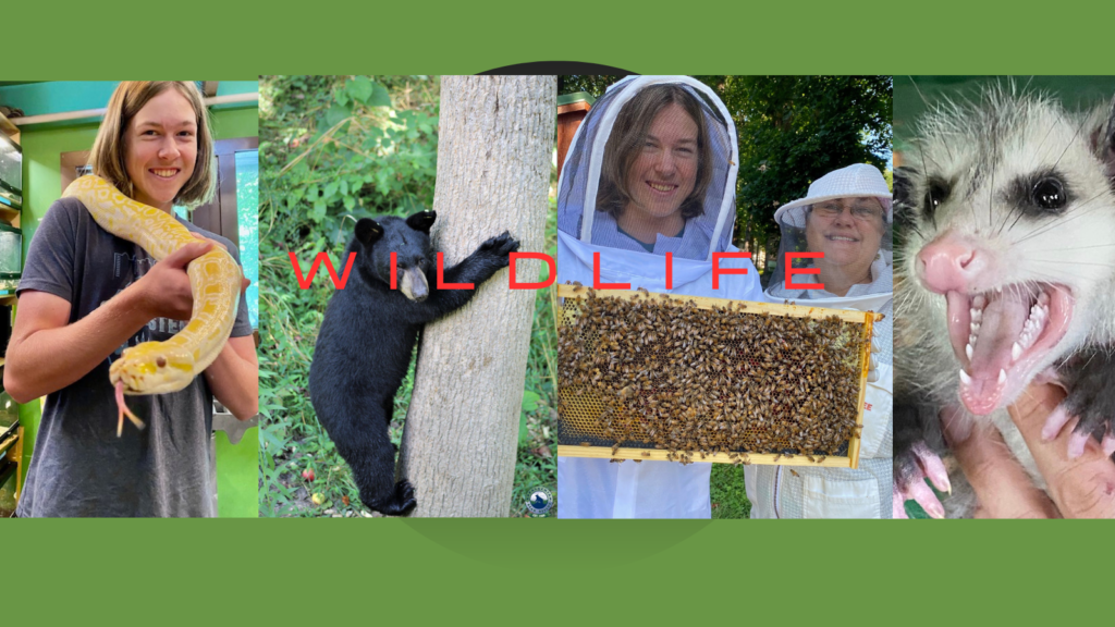 Co-Existing with Wildlife* - Rob's Rescues
